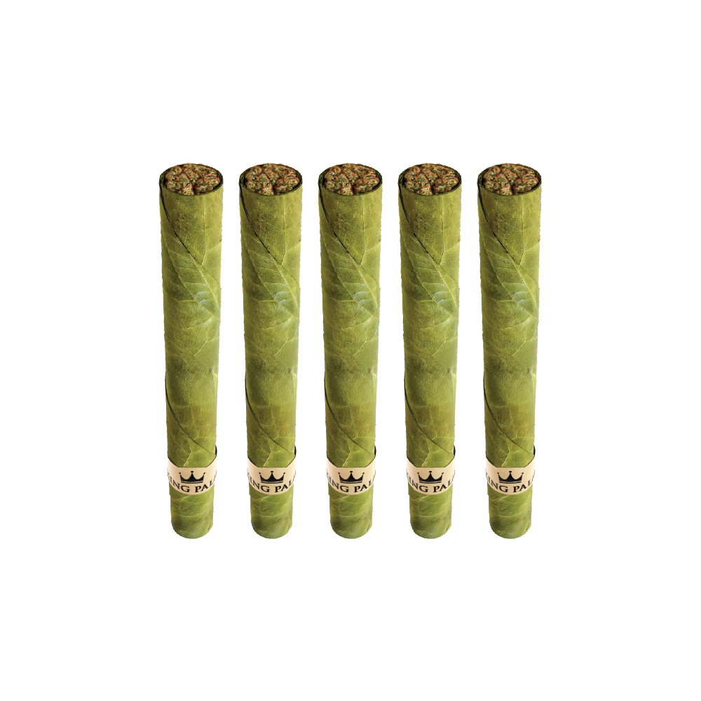 THCa Cigarettes: Exploring Benefits and Effects – King Palm